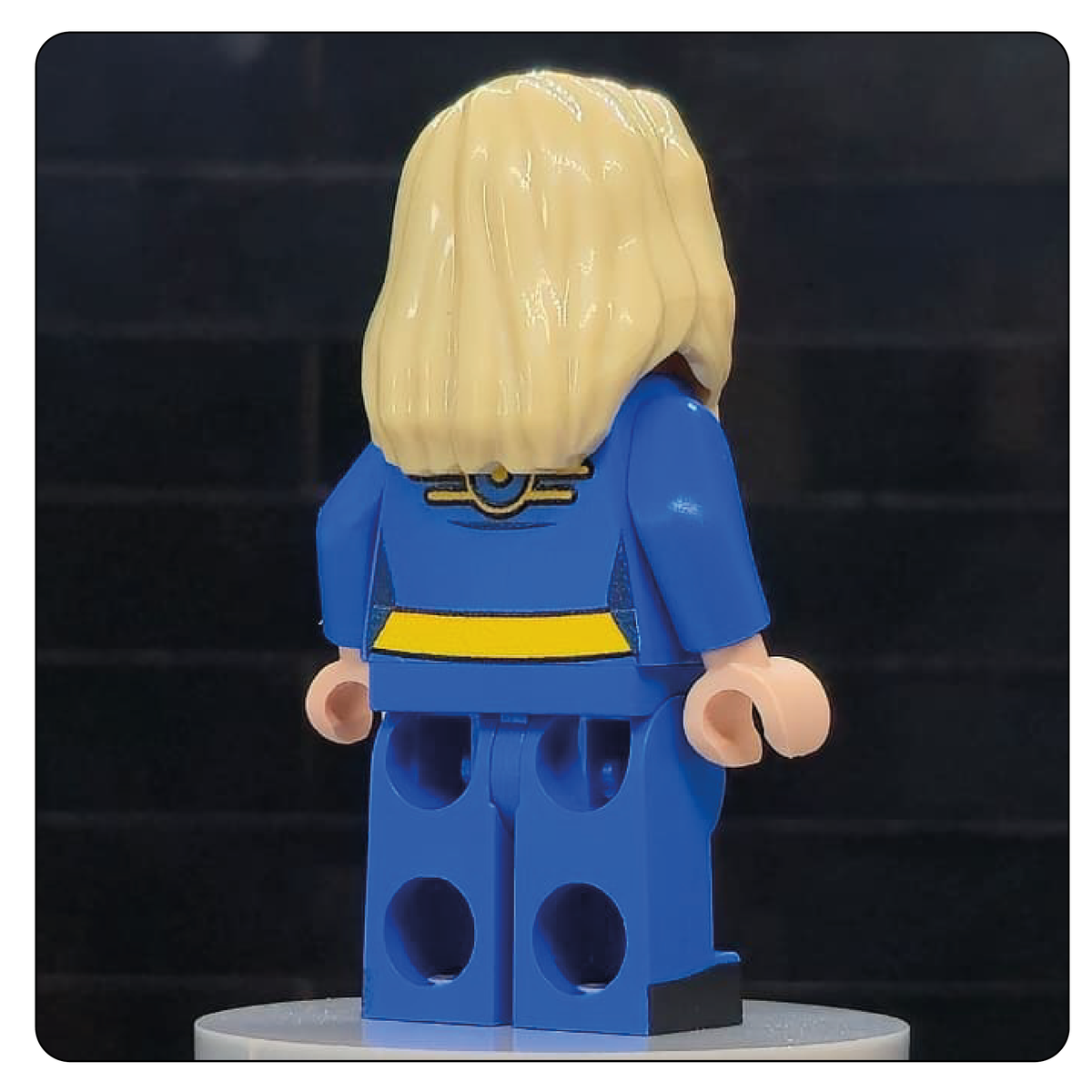 The Wasteland Mascot Female - Collectible Figure – Hall of Bricks